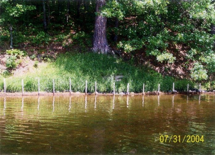 Lake Edge Stabilisation – Canada - Green Ventures Environmental New ...